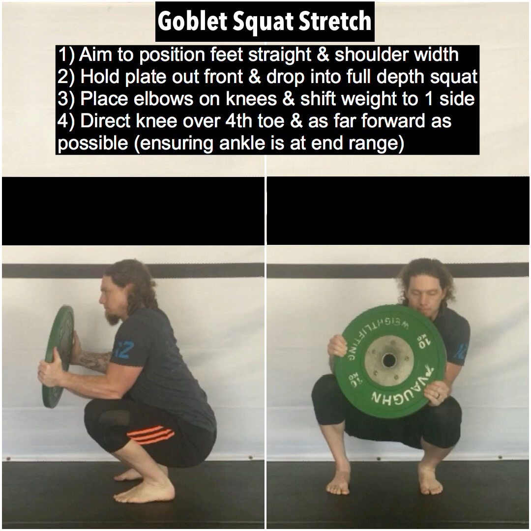 Sculpting Your Squat – Reassess, Reassign, and Repeat – Vaughn ...
