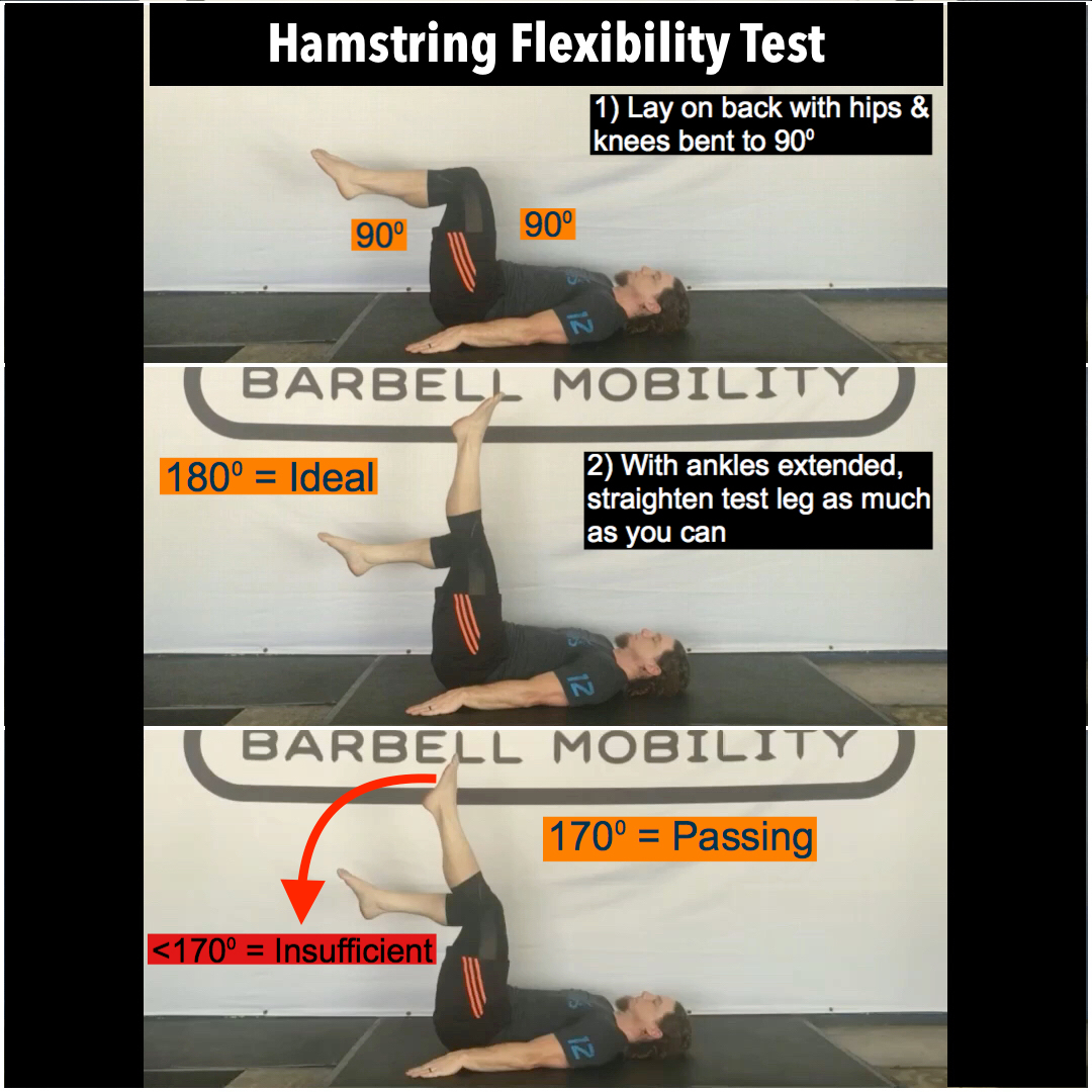 Sculpting Your Squat – Reassess, Reassign, and Repeat – Vaughn Weightlifting
